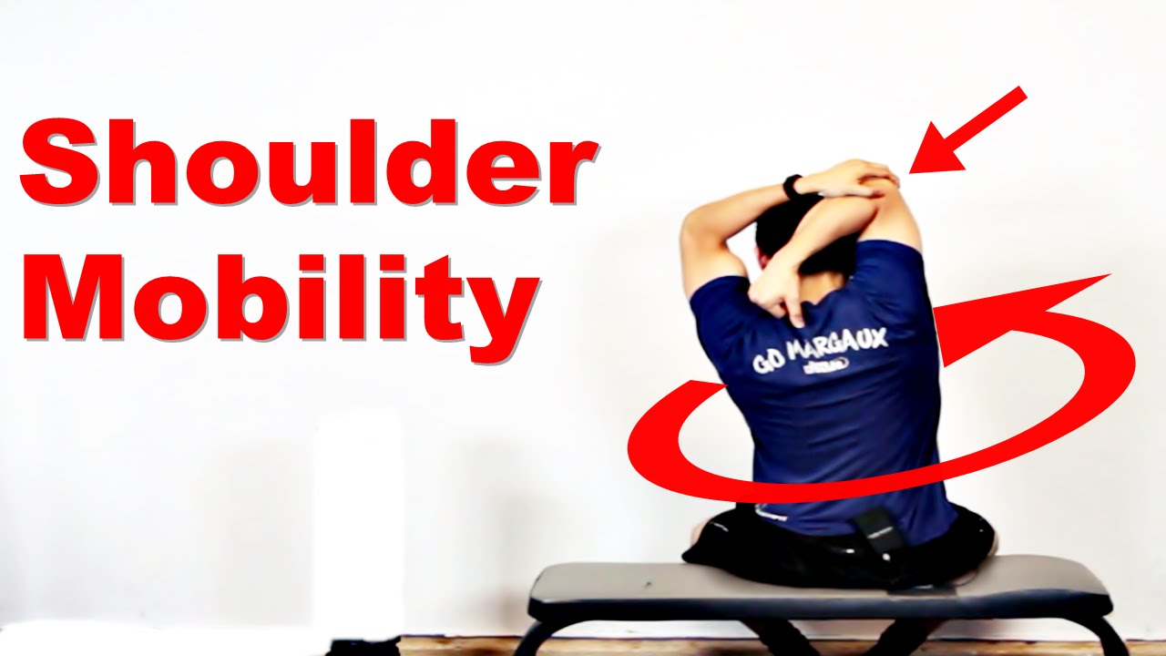 Alpha Nation Shoulder Mobility Blog post Tricep Mobility for Shoulders ...