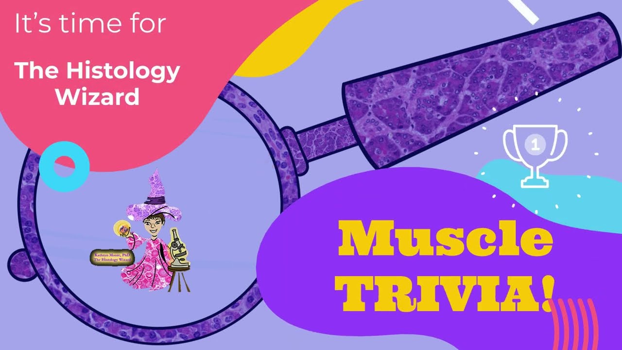 Muscle Trivia - YouTube