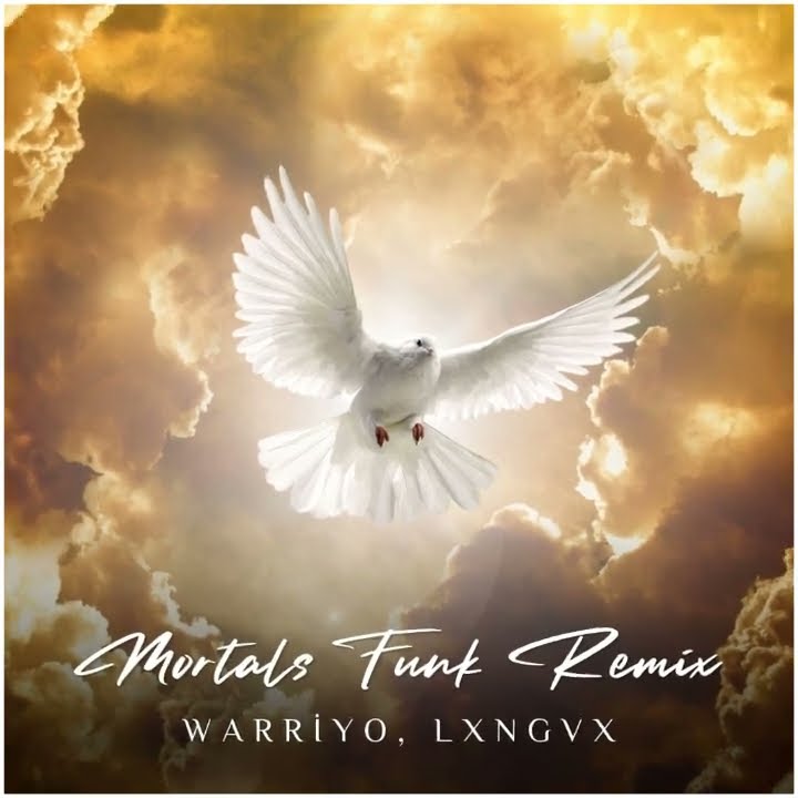 Mortals Funk Remix - Warriyo, LXNGVX [ NCS Release ] song side - YouTube