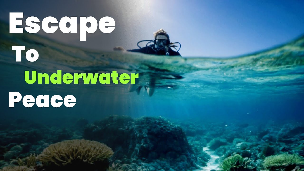 How to Escape the World: A Timelapse Journey from Busy Streets to ...