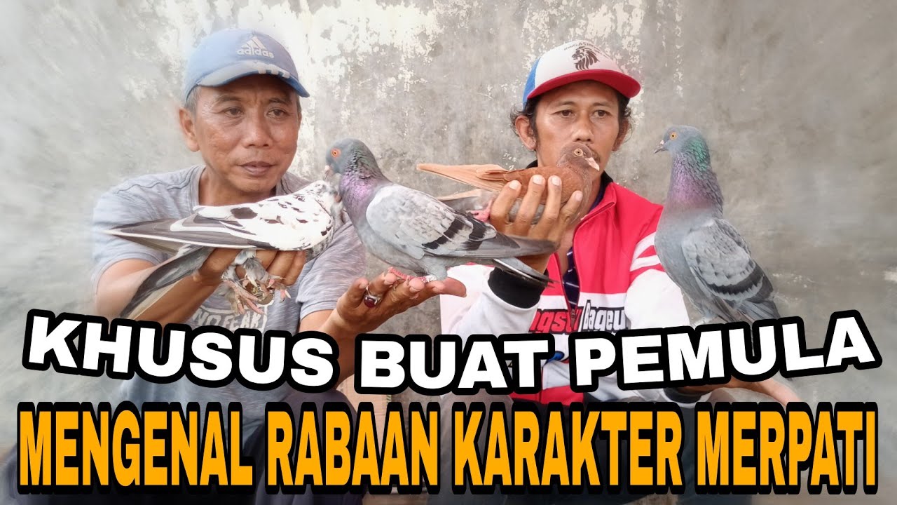 SALAH SATU JENIS DAN KARAKTERISTIK PEGANGAN DAN RABAHAN BURUNG MERPATI ...