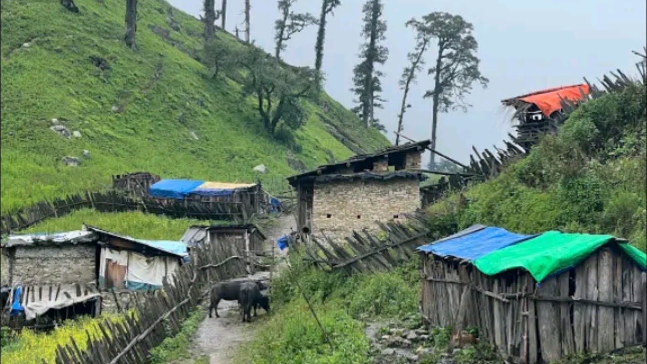 Uttar Pradesh Village Life in india || real life farmer india up ...