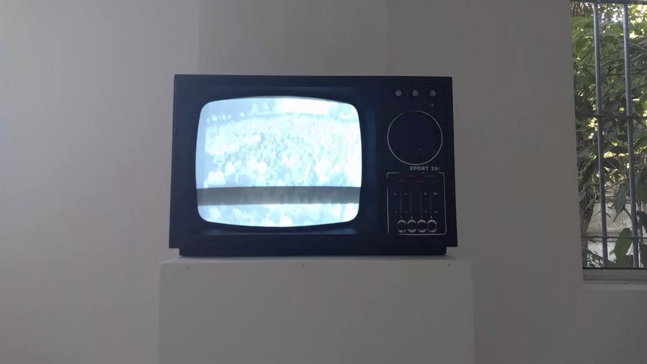 Academicianul Horia Hulubei & Maria Groza secretara consiliului ...