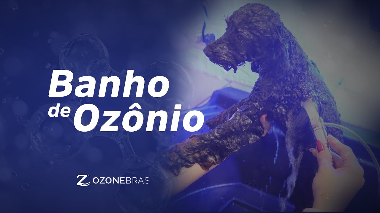Banho de Ozônio para Pets - YouTube