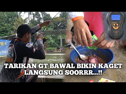 PERTAMA MANCING GT BAWAL SANGAT MERESAHKAN HATI BROO ! KOK BISA YA SI WEWEN GACOR..