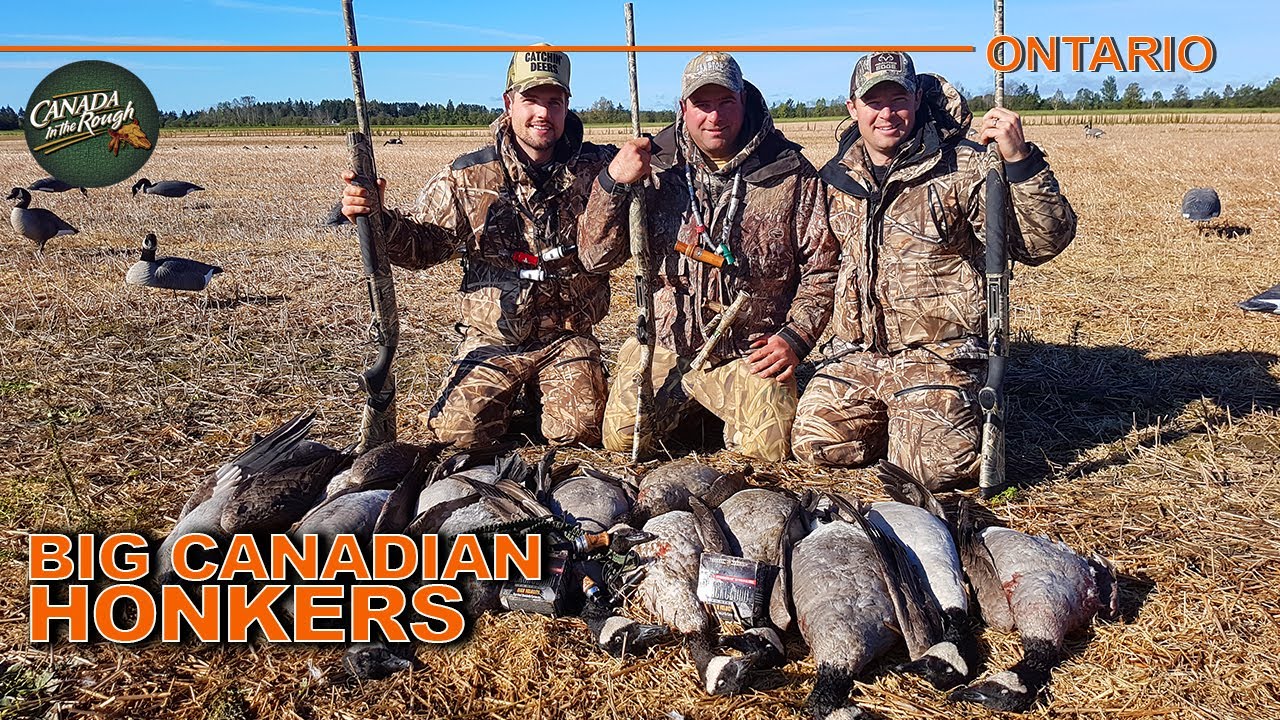 Hunting HUGE Canadian Honkers with Bud Fisher | Canada in the Rough ...