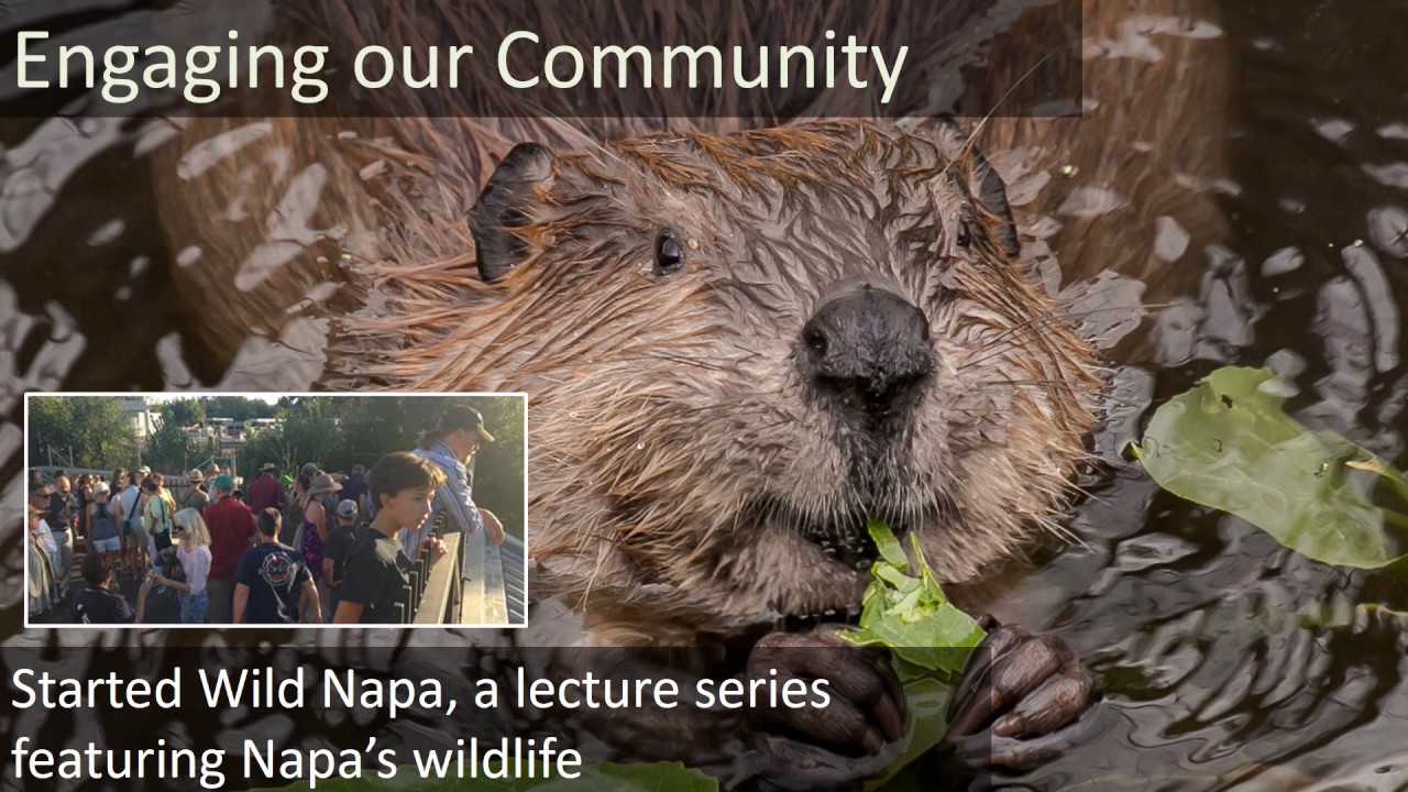 Napa County RCD's 2016 Highlights - YouTube