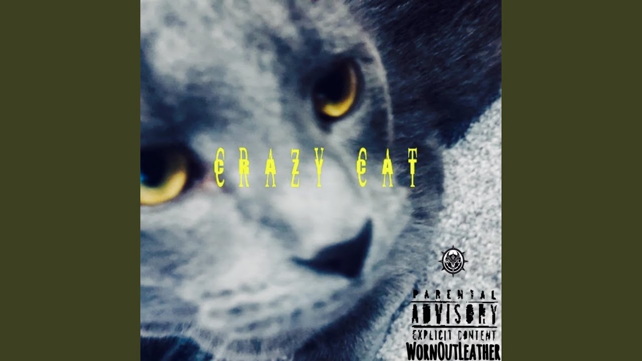 CrAzY CaT - YouTube