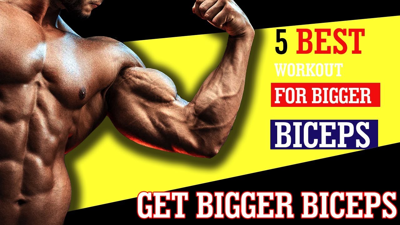 How To Get Bigger Biceps Fast | Effective Biceps Workout For Beginners ...