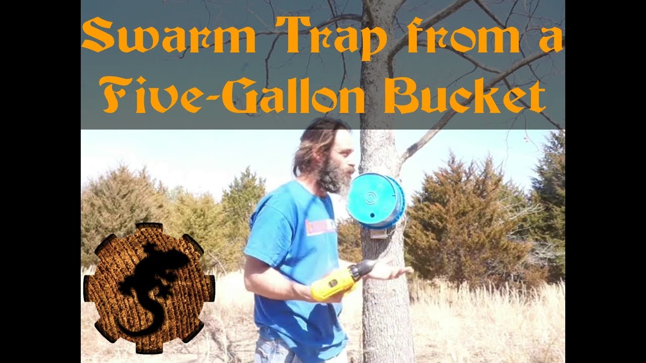 Bee Swarm Trap From a Five-Gallon Bucket - YouTube