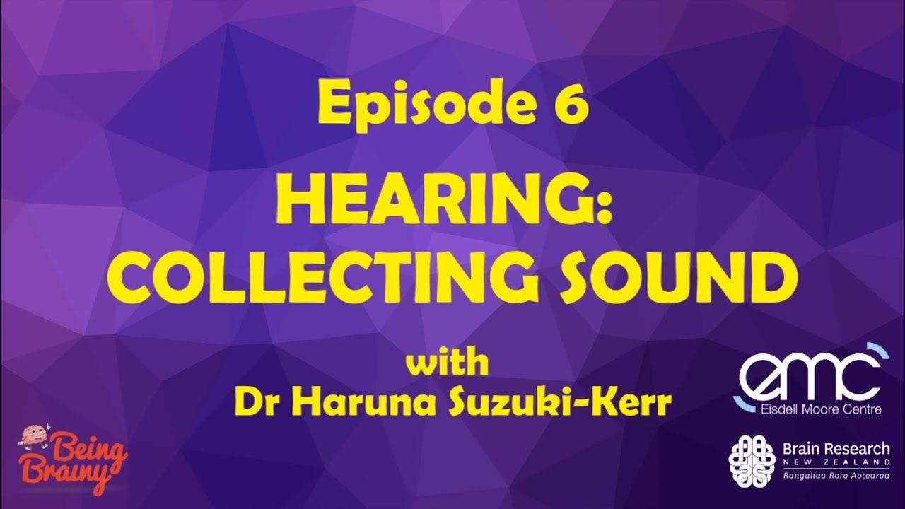 Episode 6 | HEARING: Collecting Sound | The Being Brainy Lab - YouTube
