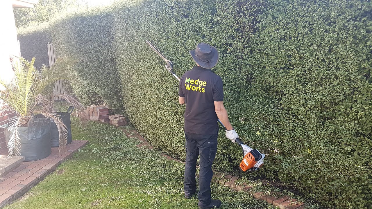 Hedging, Hedge Works, Hedge Maintenance, Hedge Trimming, Hedge Cutting ...