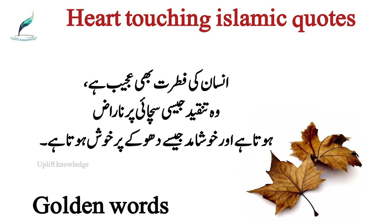 heart touching islamic quotes |deep lines| beautiful islamic quotes ...