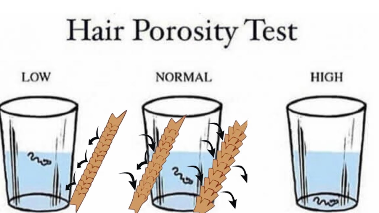 Hair porosity test and how to take care of your own porosity - YouTube