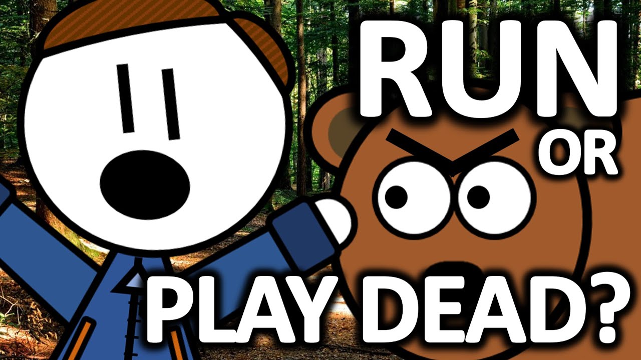IF A BEAR ATTACKS YOU, DO YOU PLAY DEAD OR RUN LIKE CRAZY? - YouTube