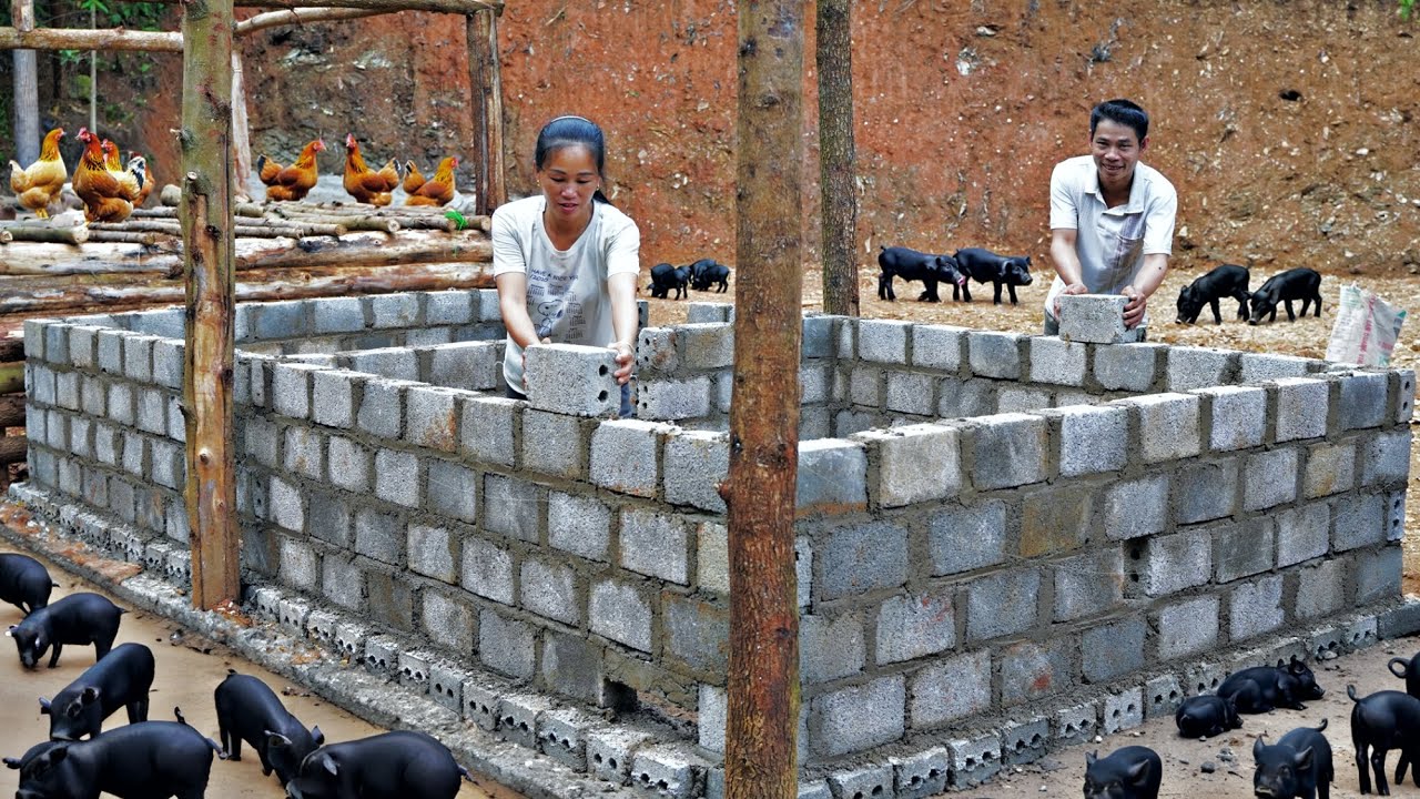 Daily farm life: Building a project to raise many pigs, 2 Years living ...