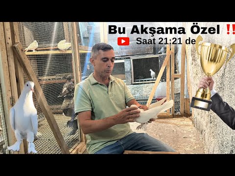 Kaliteye devam akşam 21:21 de görüşmek dileğiyle selametle kalın 👋