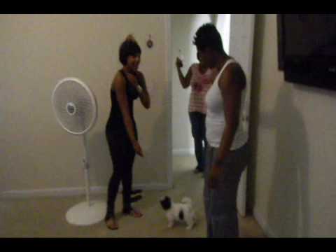 Twerk Team- Prank