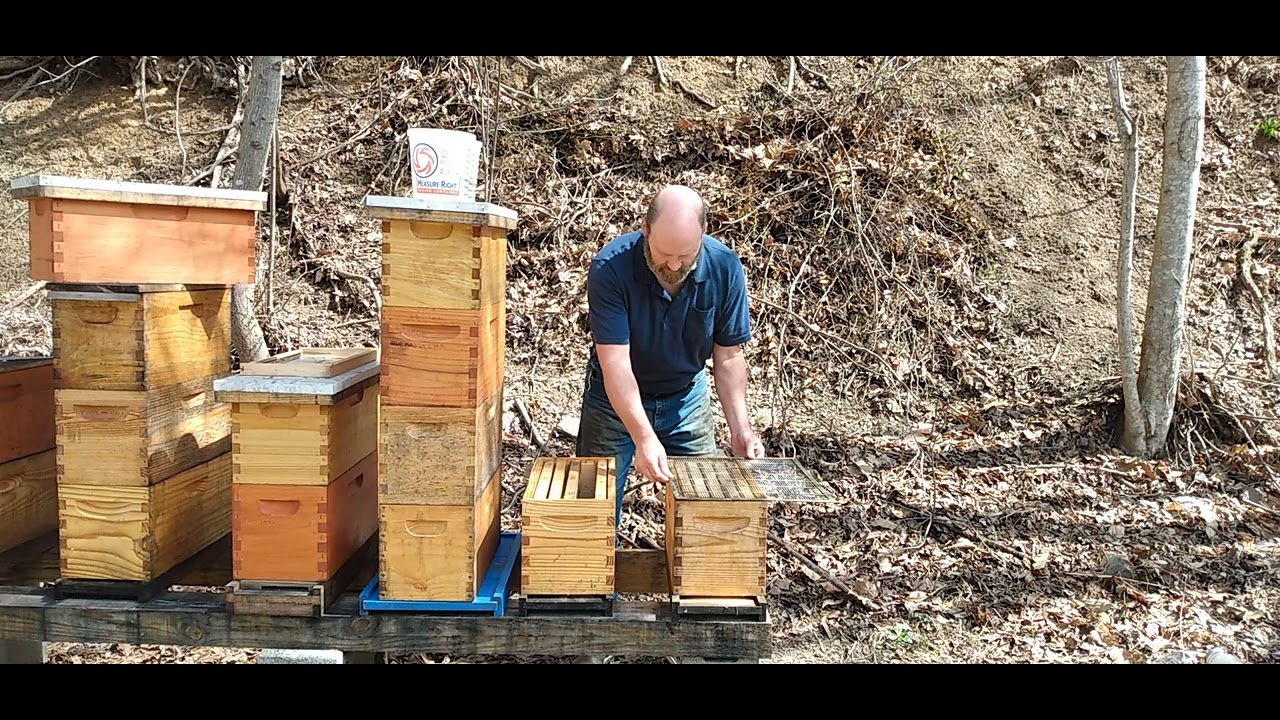 Demaree Redo. More Clear Instructions. And How The Bees Are Being ...