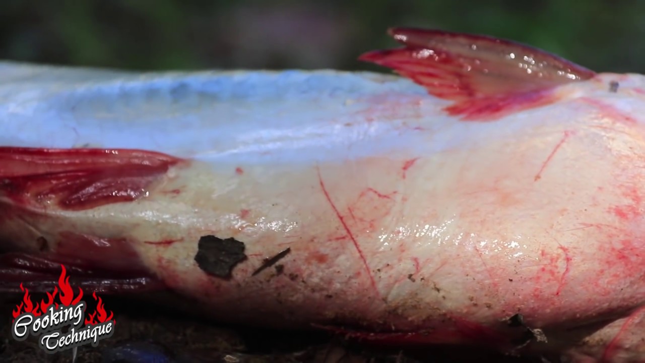 Wow! Amazing a lot of Fish in Fish Stomach then Fried Yummy Fish For ...