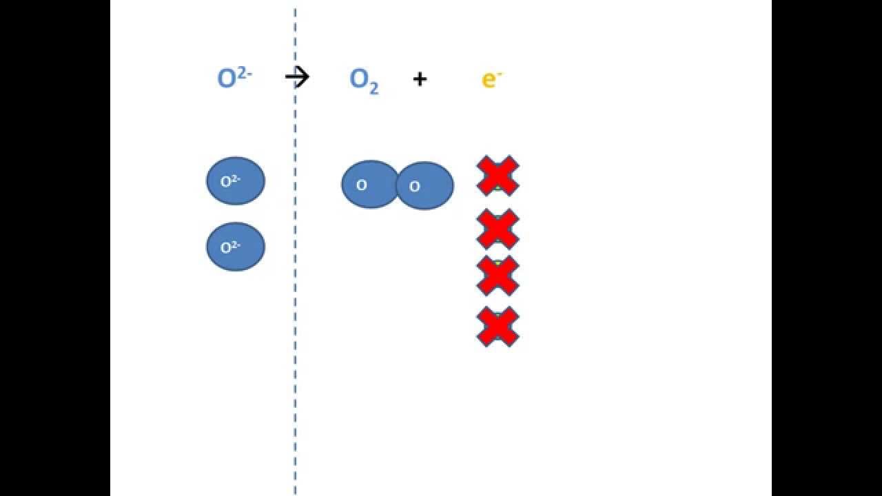How to write REDOX half equations in electrolysis - YouTube