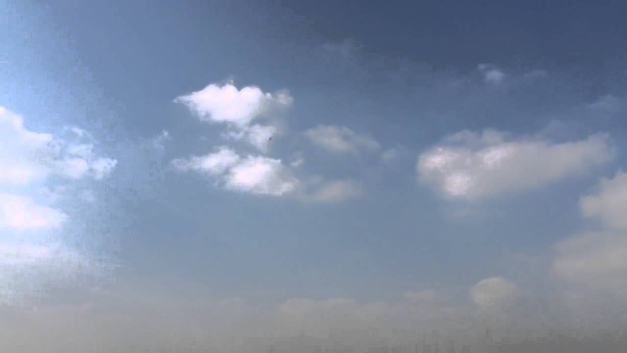 Pilot RC Dolphin flight - Spark T12 turbine - Better landing - YouTube