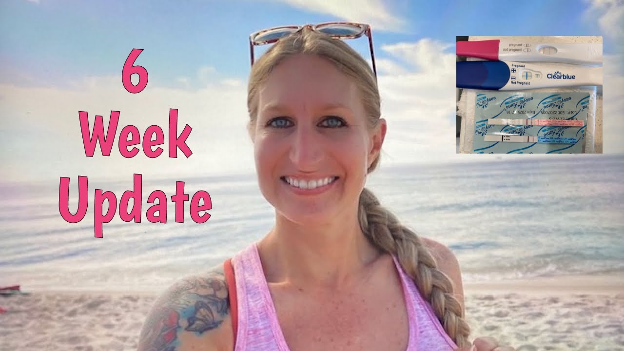 6 WEEK UPDATE | Early Pregnancy after 4 Losses - YouTube