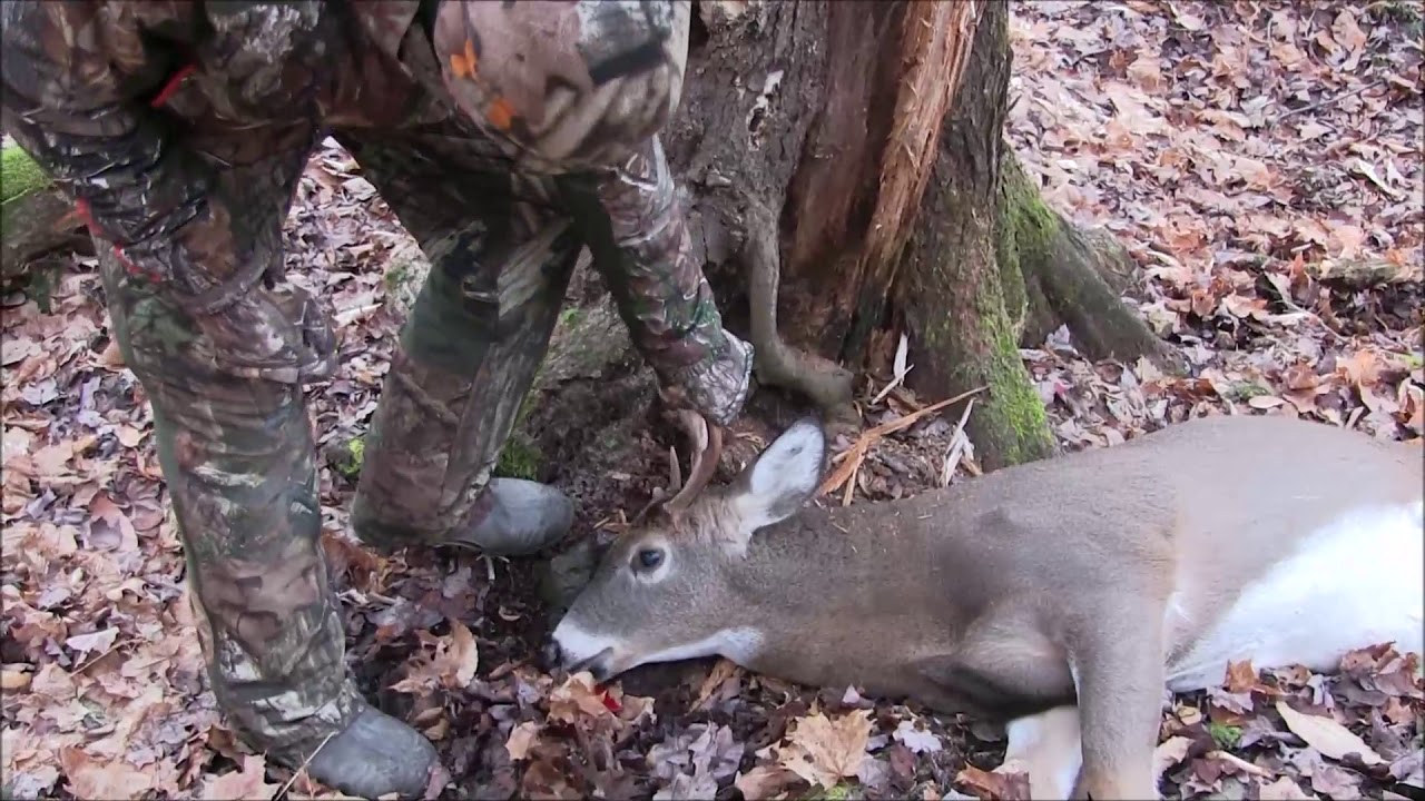 2020 VT Rifle Deer Hunting - YouTube