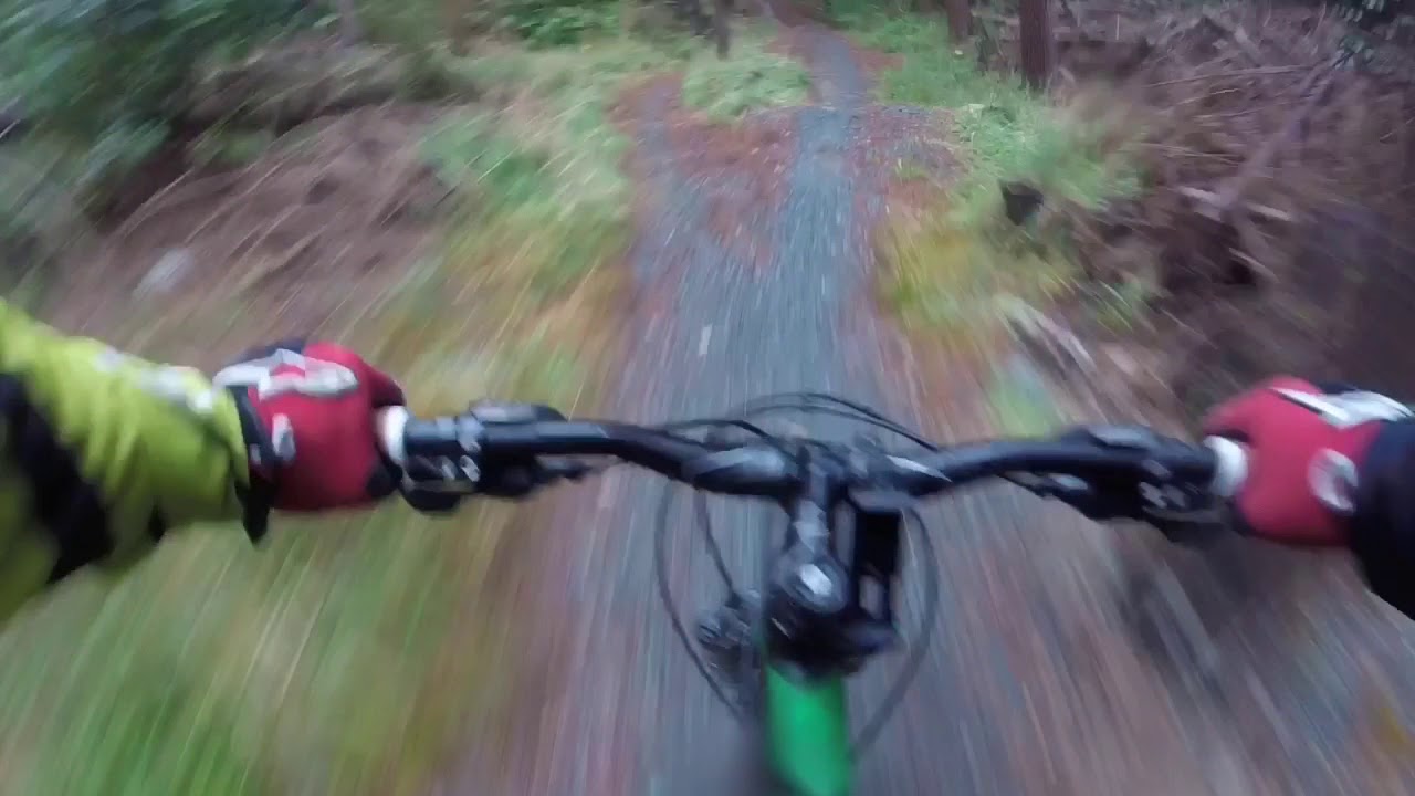 Tunnel Gulley Lower Pig Track - YouTube