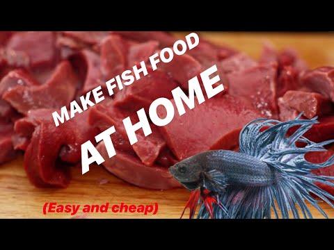DIY fish food at home - YouTube