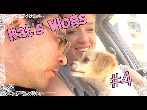 Πήραμε Σκυλάκι! (Kat's Vlogs #4) - YouTube
