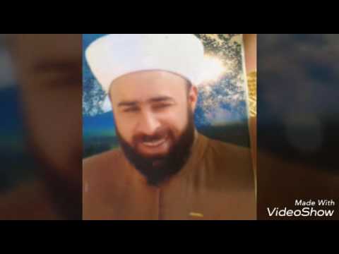 Alaadin haznevi cennetten bir gül gibi