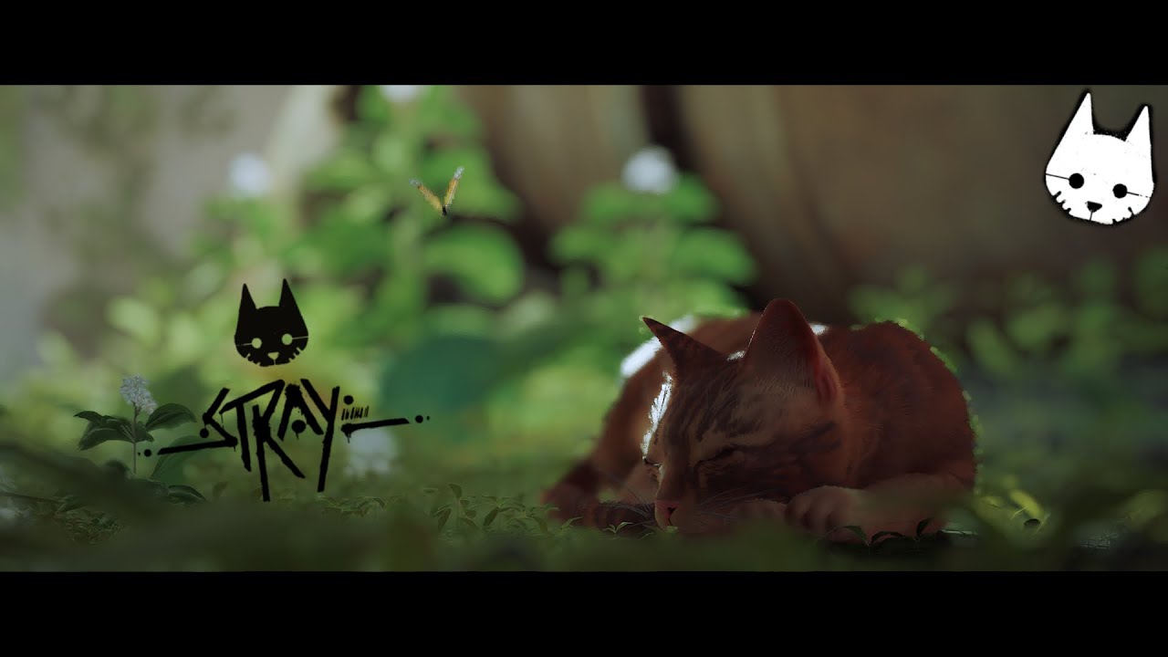 We starting to play funny cat game called stray - YouTube