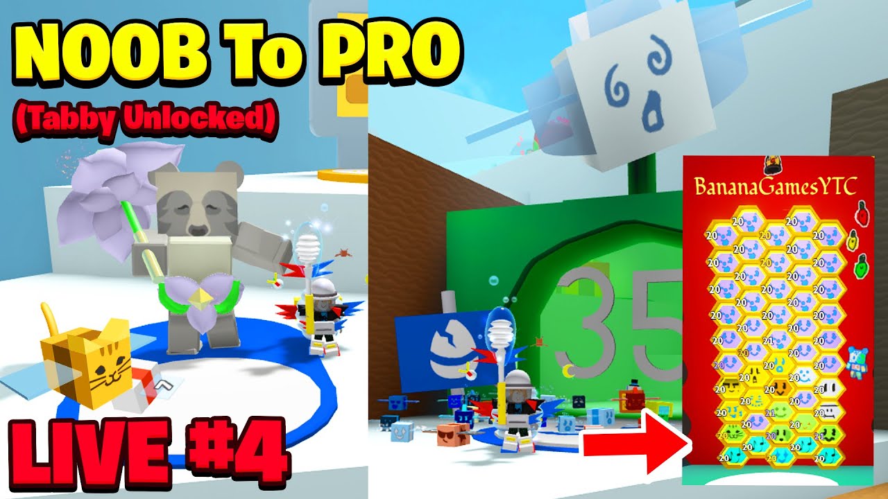 NOOB TO PRO LIVE #4 35 BEE ZONE UNLOCKED TABBY BEE GRINDING QUESTS BEE ...