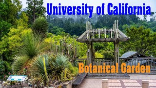 University of California Botanical Garden,  Berkeley California