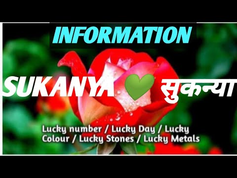 सुकन्या नाम का मतलब || Sukanya Name Meaning || All In One Information ...