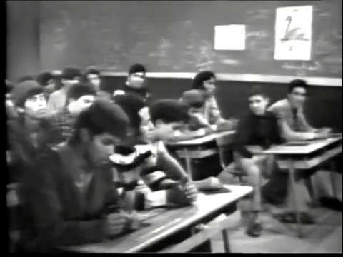Samir Kamoun in \
