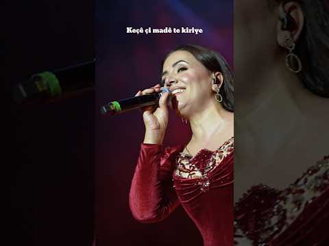 Xecê - Xezal #xecê #xezal #live  #diyarbakır #kurdishmusic