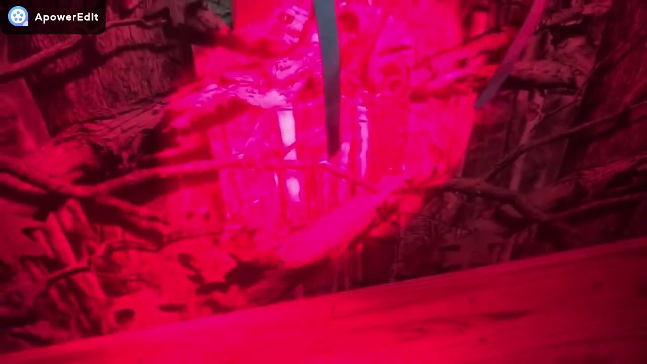 Zoomable Green /Red/ UV Hunting Flashlight Deer Blood Tracker Light ...