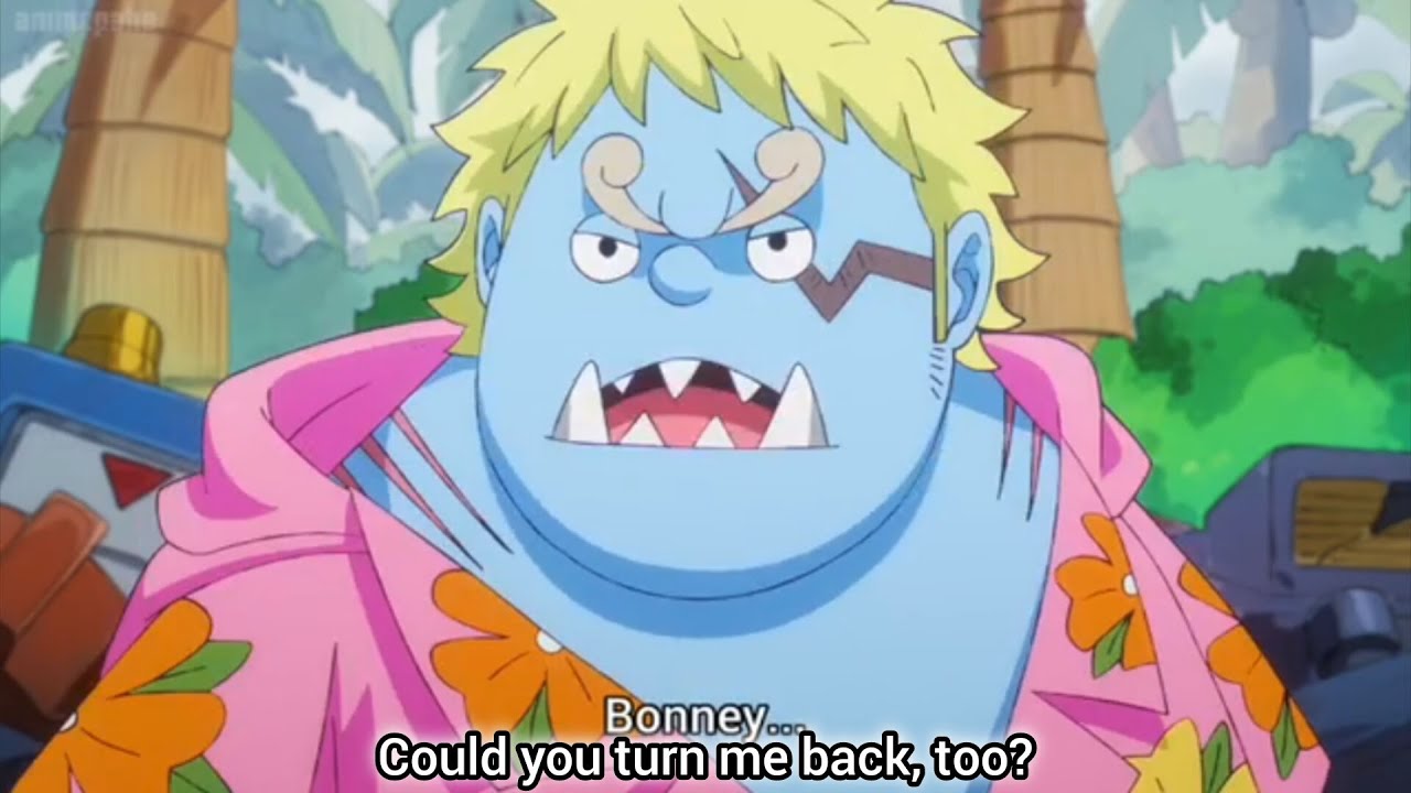 Bonney, could you turn me back,too? Jimbe funny moment | one piece ...