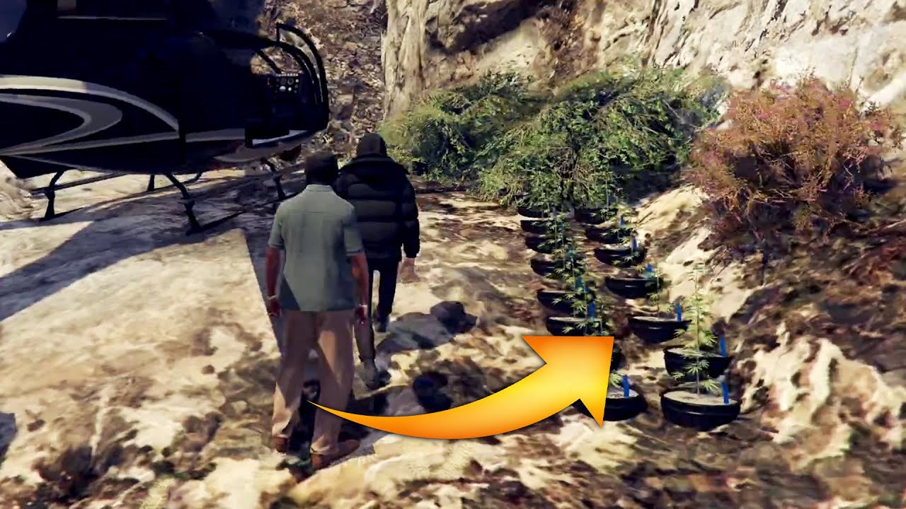 Mr. K Finds the Most Rattiest Grow Up Spot at Mt. Chiliad | Prodigy RP ...