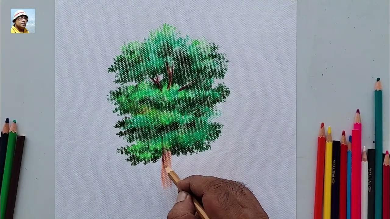 colored pencil tree sketch for beginners#coloredpencils #pencil - YouTube