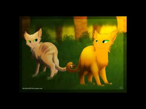 Warrior cats cool kids - YouTube