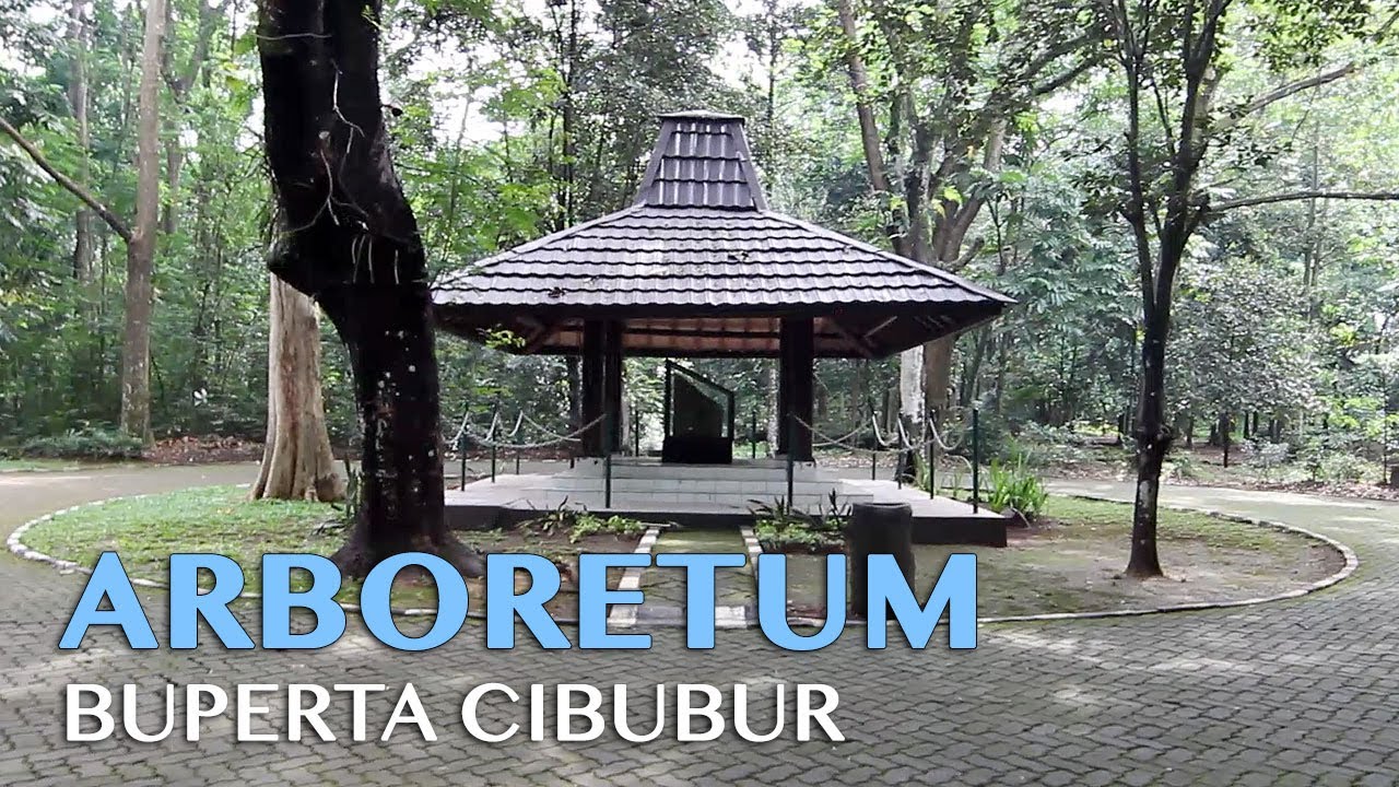 Jakarta Timur - Arboretum Buperta Cibubur - YouTube