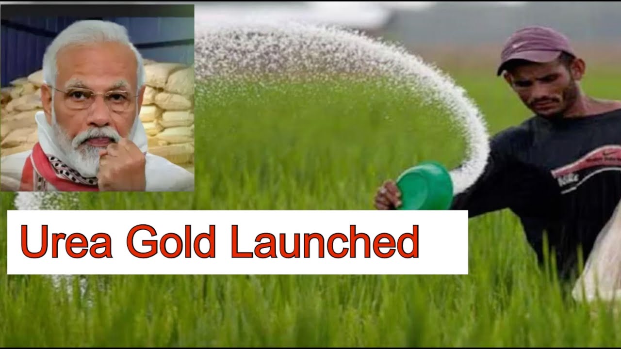 Urea Gold Everything You need to know - YouTube