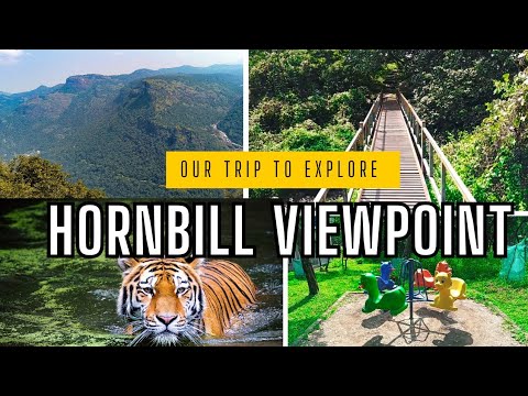 Hornbill View Point - Valparai | Best Tourist Place in Coimbatore | Best Places to Visit in Valparai