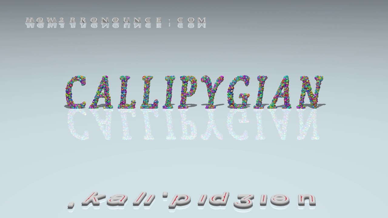 callipygian - pronunciation + Examples in sentences and phrases - YouTube