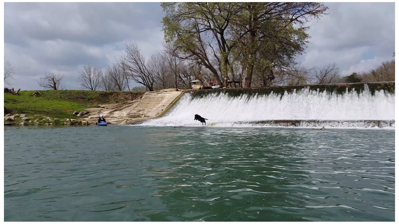 20150221 Lab Playing Fetch By Itself On Martindale Dam - YouTube