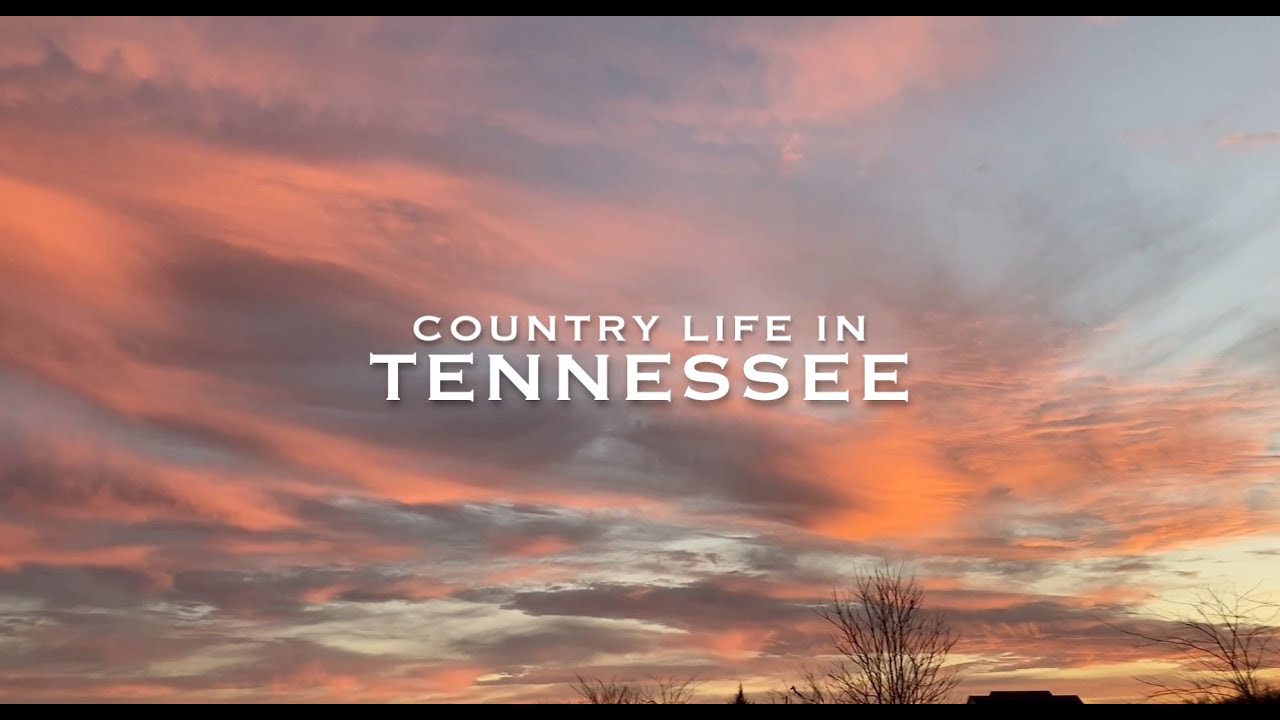 Country Life In Tennessee - YouTube