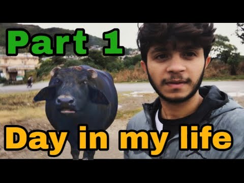 A day in my life! part 1 - YouTube